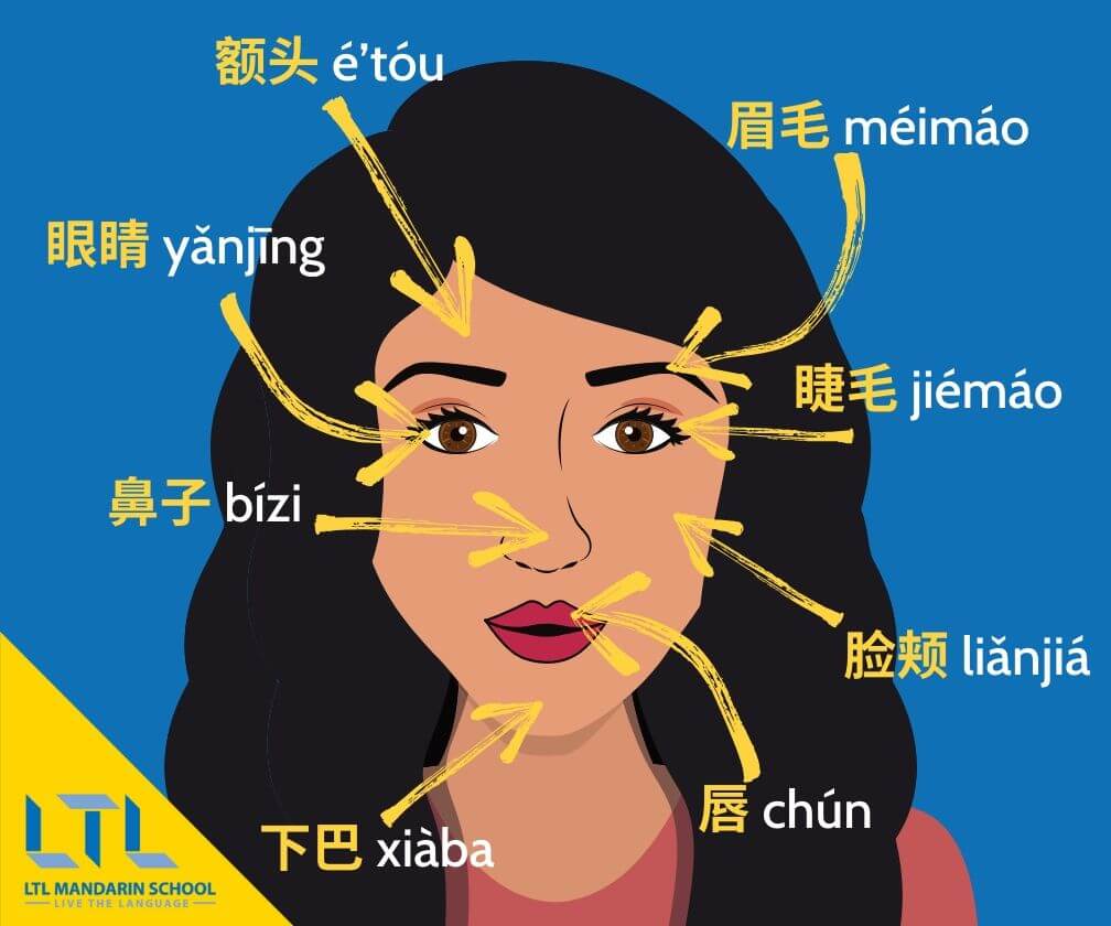 Makeup in Chinese (68 Must Know Words) || The Complete Guide