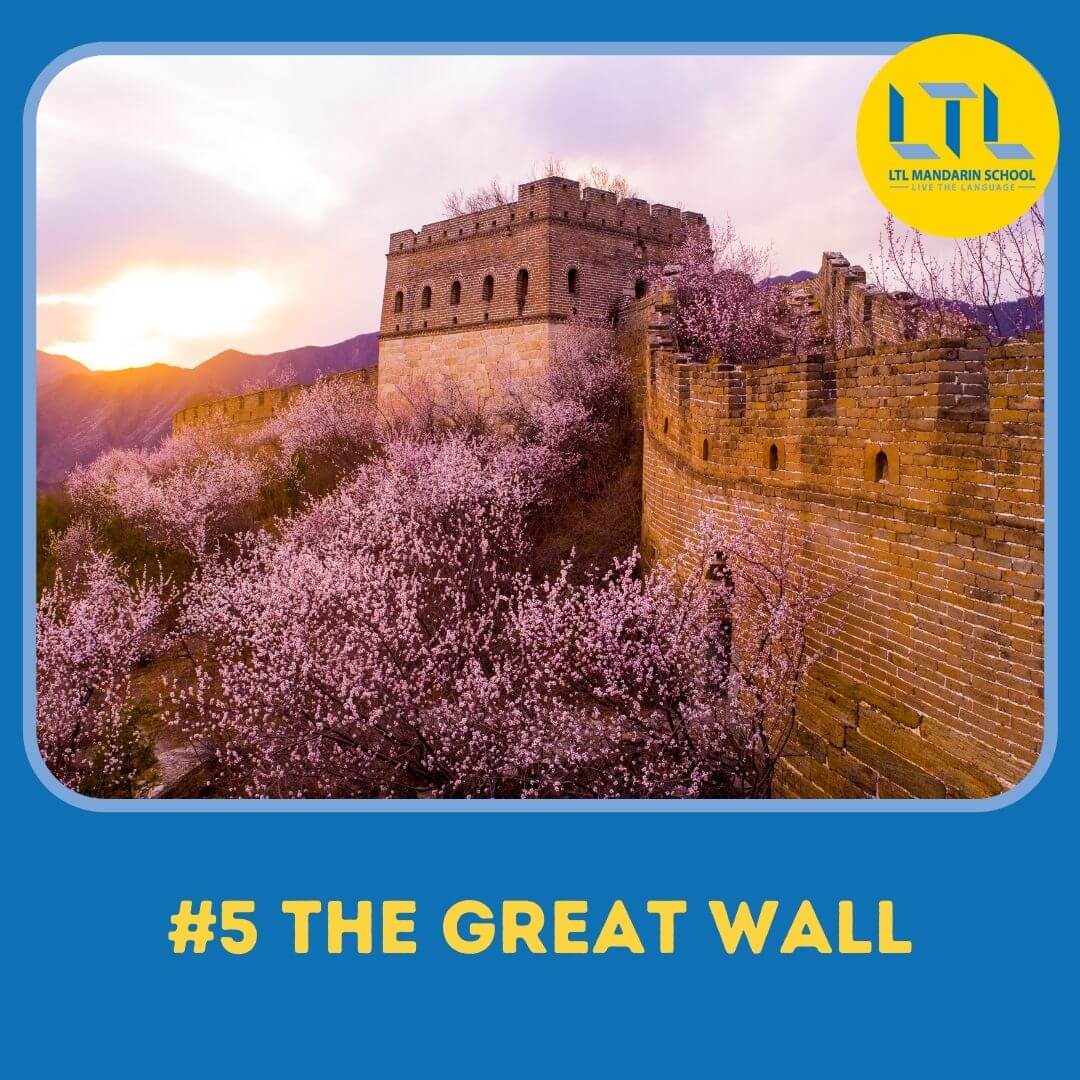 Cherry Blossoms in Beijing🌸 | 9 Of The Best for 2024